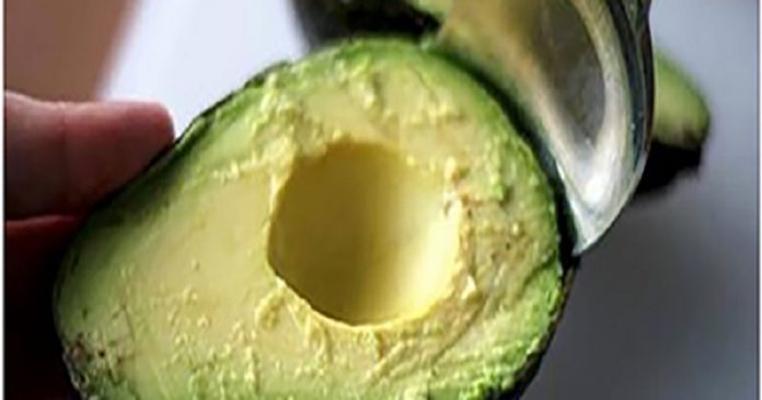 This Is Why You Need to Eat Avocado Every Day!