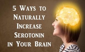5 WAYS TO INCREASE SEROTONIN IN YOUR BRAIN AND WHY IT IS IMPORTANT!