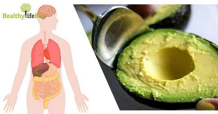 This Is What Will Happen To Your Body When You Eat Avocados Every Day